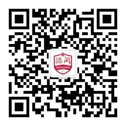 DEHONG SHANGHAI - International Chinese School